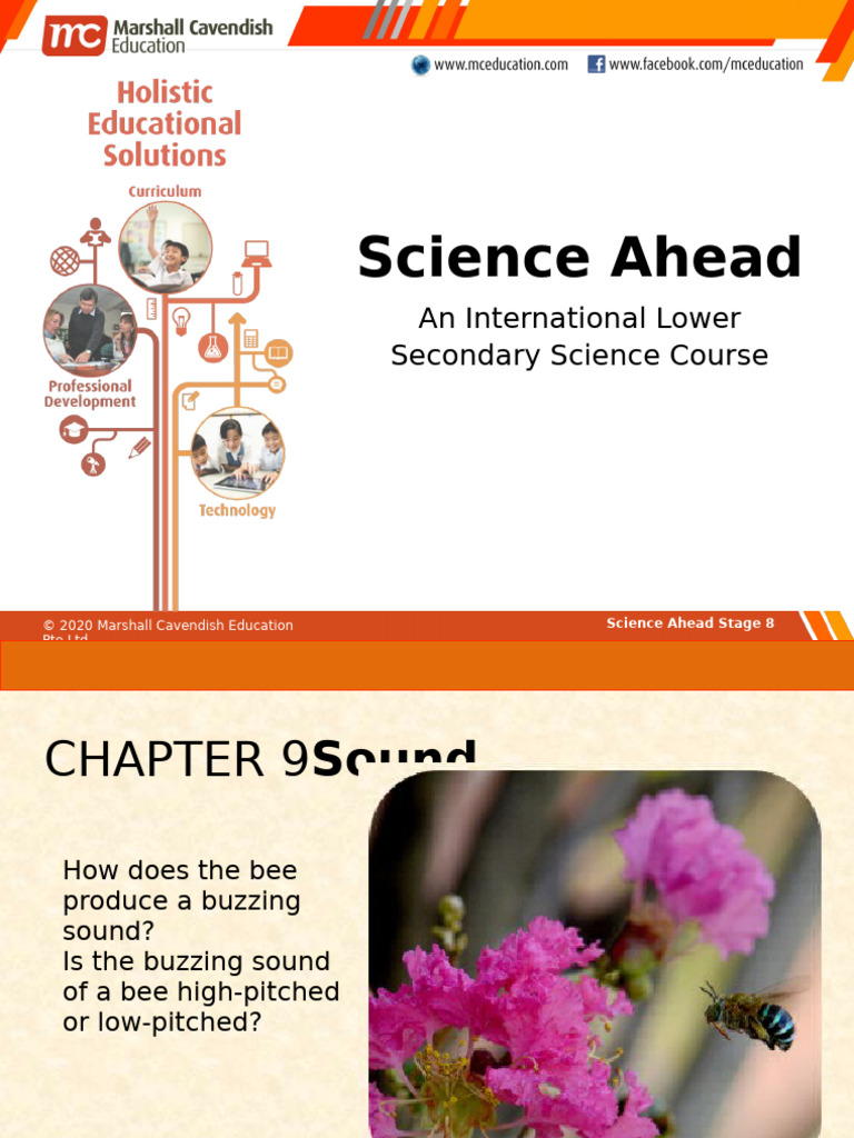 Grade 7 Sound | PDF