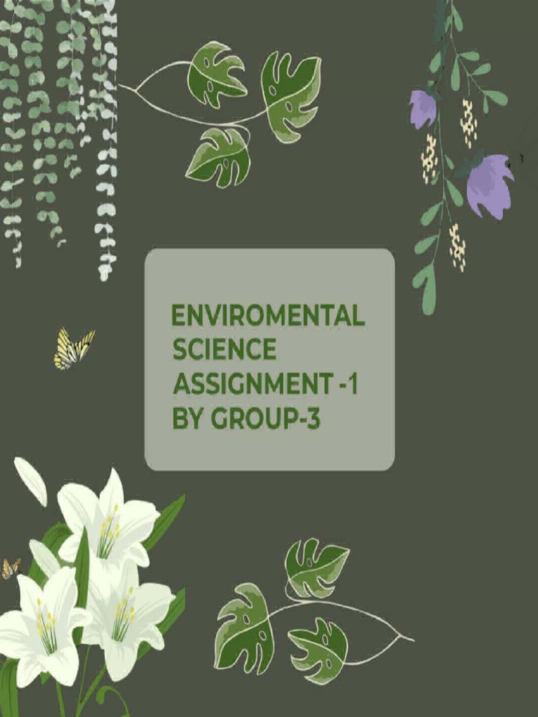 EVs Assignment 1 | PDF