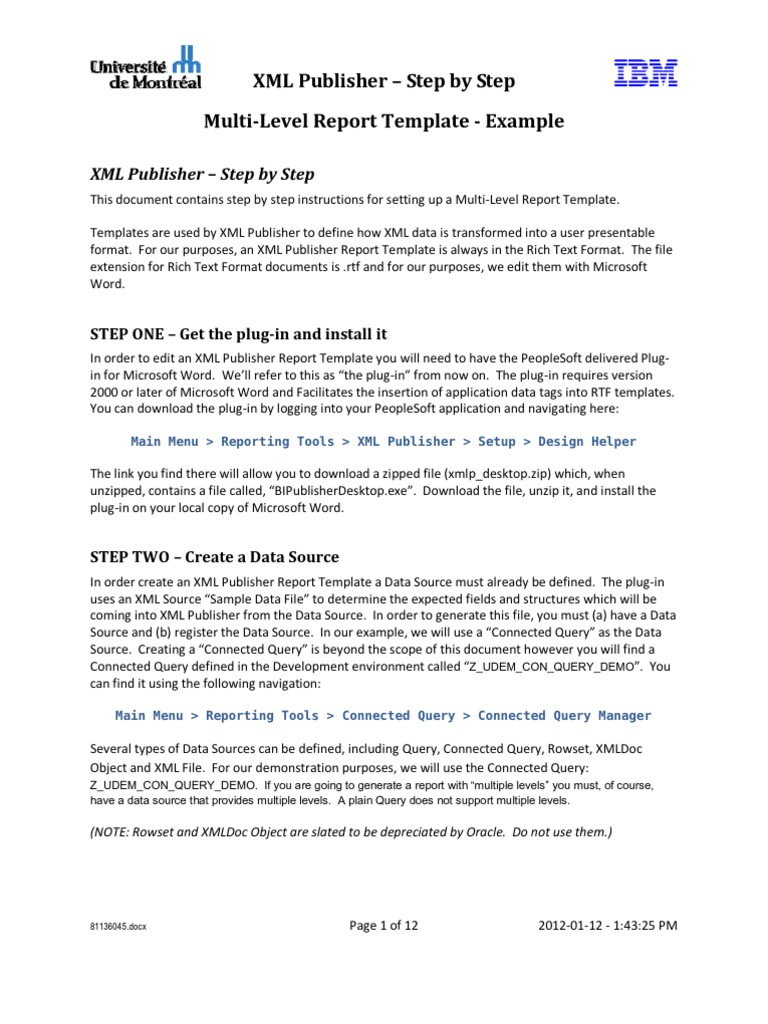 XML Publisher - Multi-Level Report Template - Example | File Format ...
