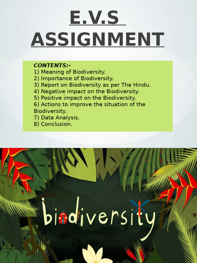 E.V.S Assignment: Contents | PDF