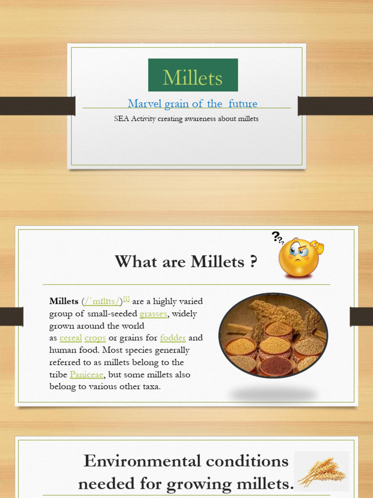 Millets | PDF