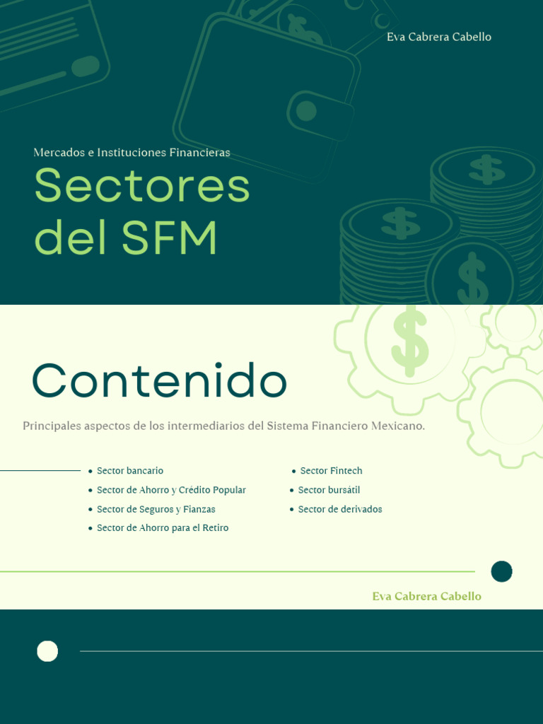 Sectores Del SFM VF Presentación - Compressed | PDF
