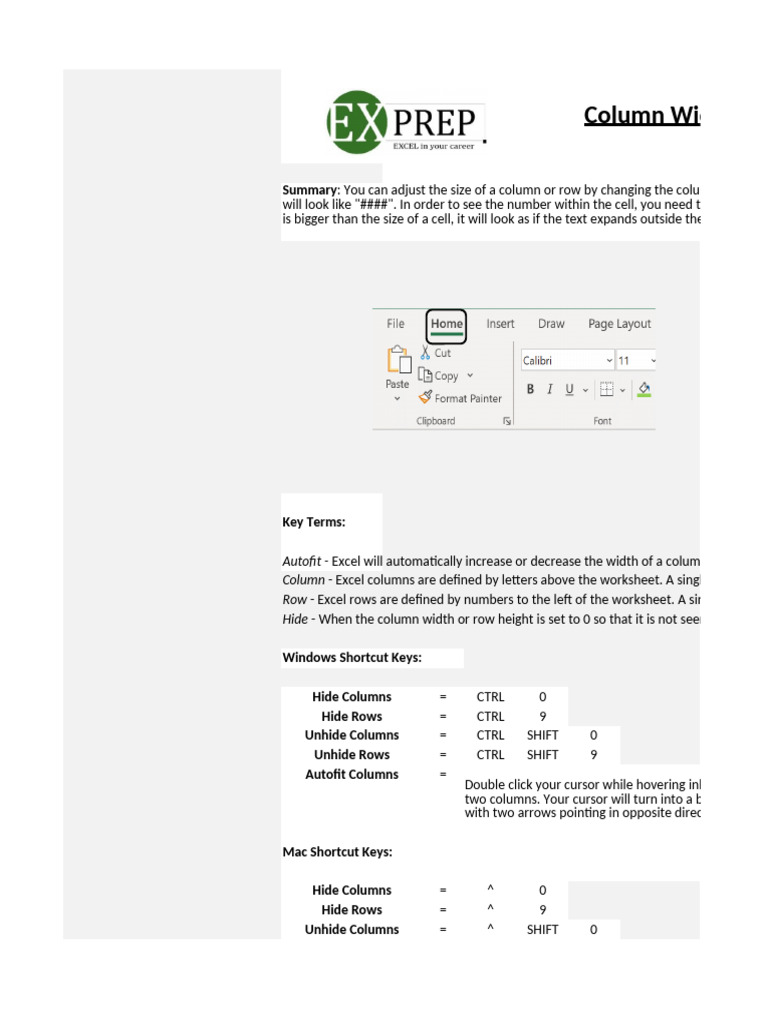 Column Width & Row Height (Empty) | PDF
