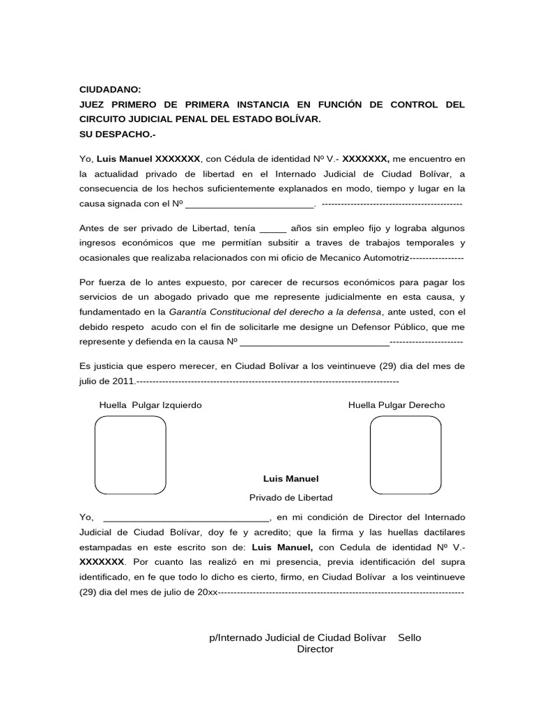 Formato Modelo Ejemplo Solicitud de Nombramiento de Defensor Publico CAUSA PENAL | PDF