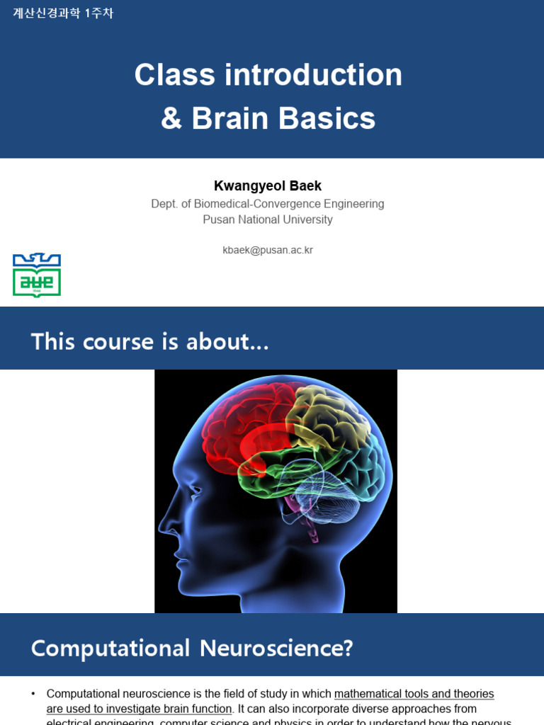 (계산신경과학) 1주 - Brain Basics | PDF