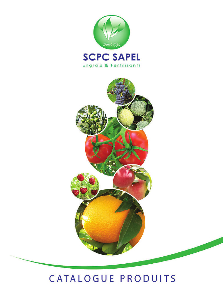 Catalogue SCPC SAPEL PDF | PDF