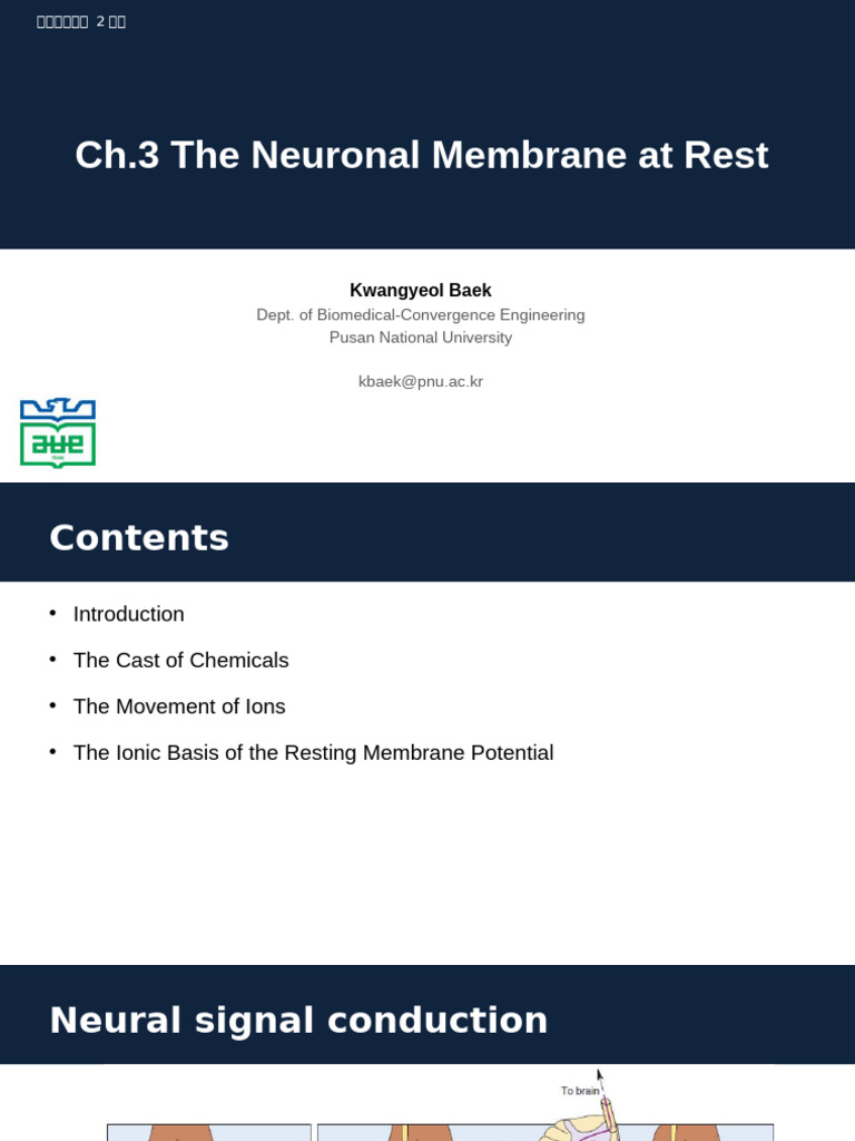 (계산신경과학) 2주 - Ch.3 Neuronal membrane at Rest | PDF