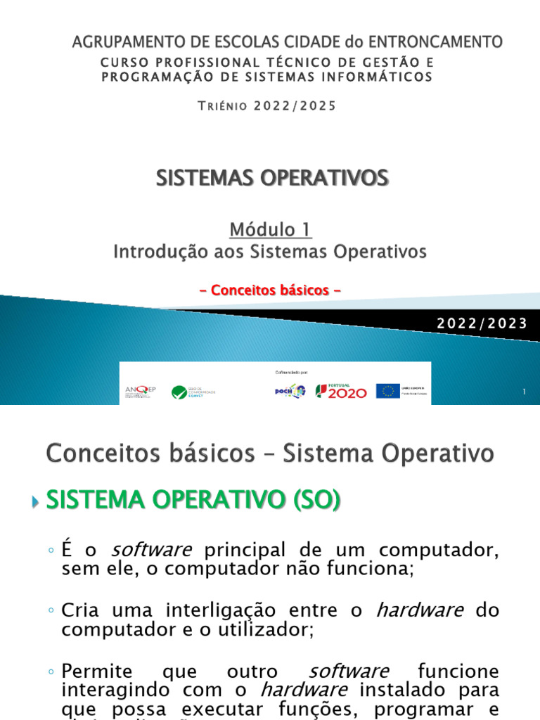 01 SO - Conceitos básicos | PDF