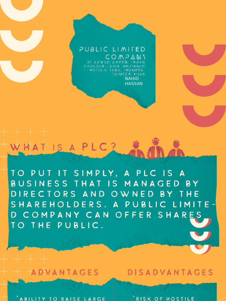 Public Limited Company V2 | PDF