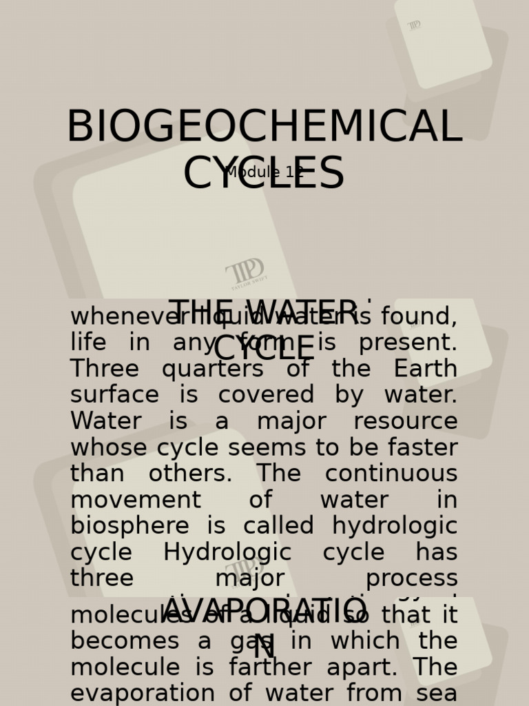 Biogeochemical Cycles Module12 | PDF