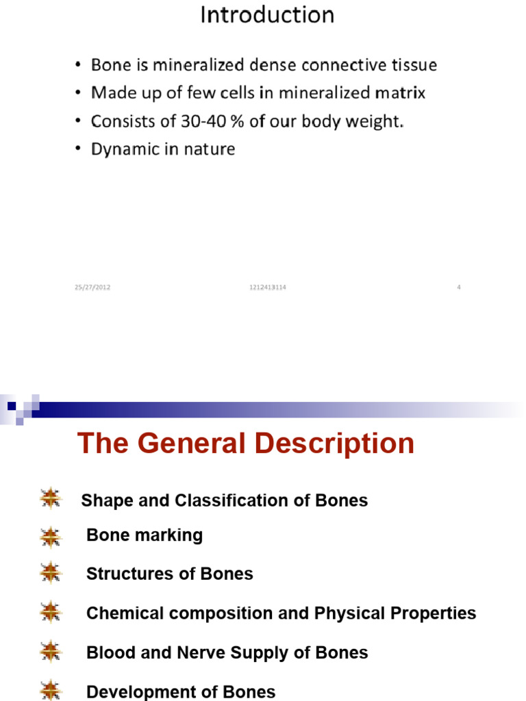 Bone | PDF