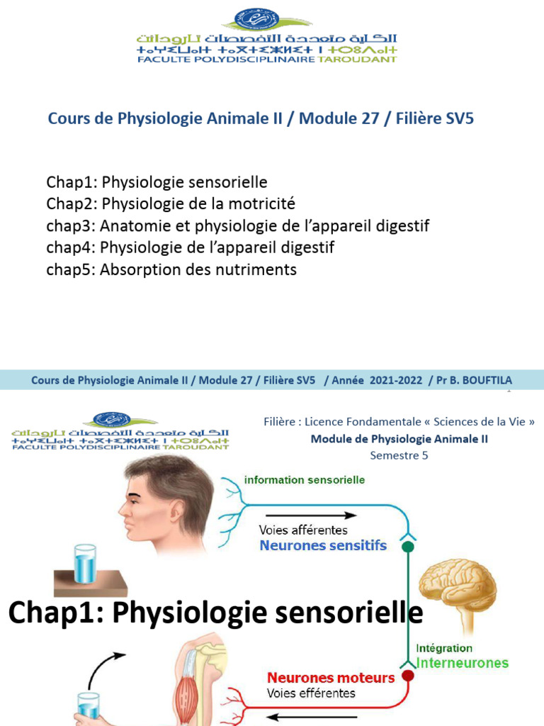 Cours de PHYSenso (Chap1) | PDF