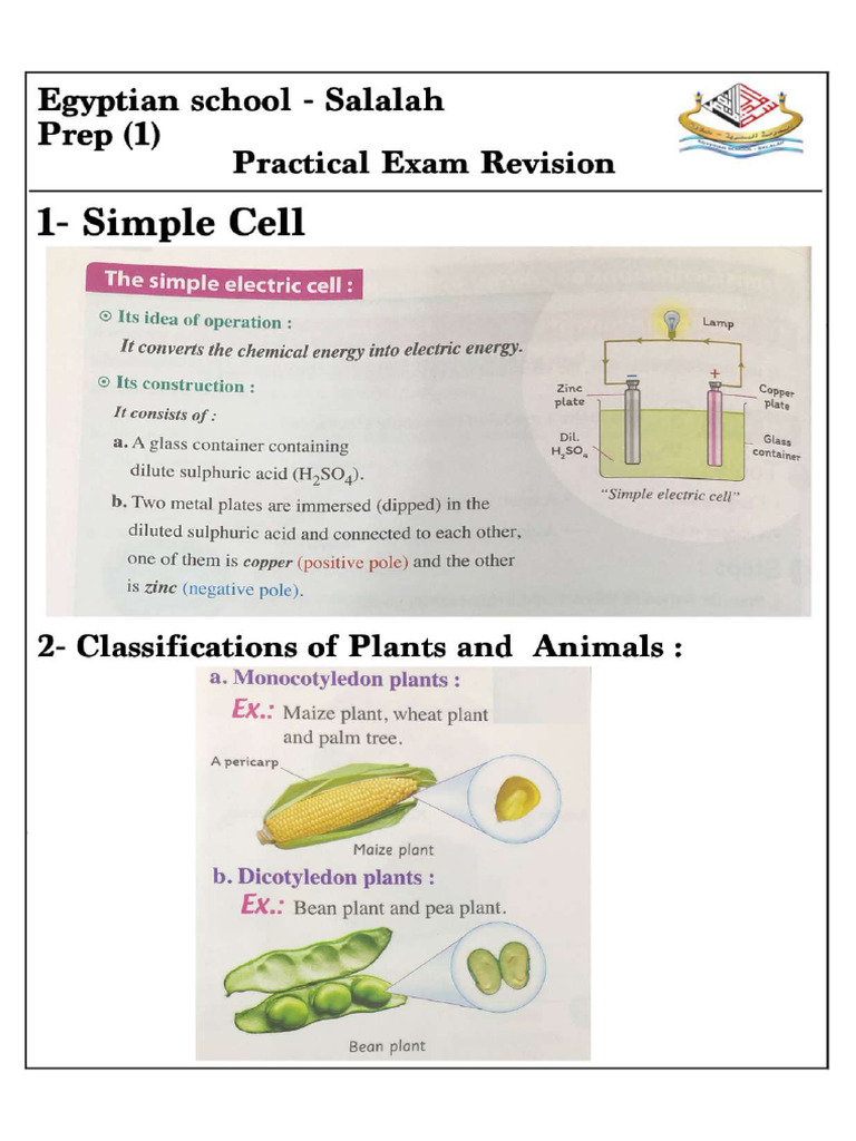 Practical Exam Revision | PDF
