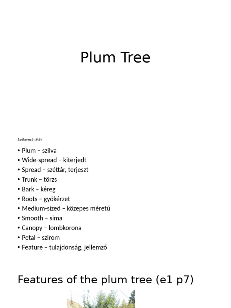 Plum Tree Features and Anatomy Guide | PDF