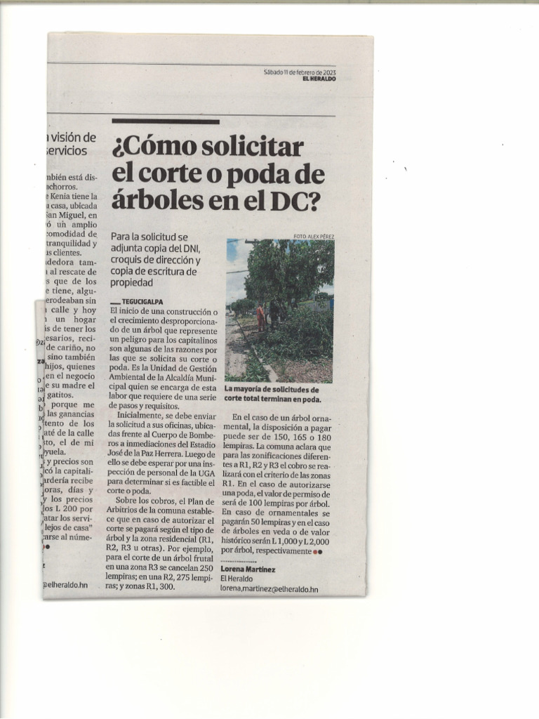 Corte de Arboles en TGU | PDF