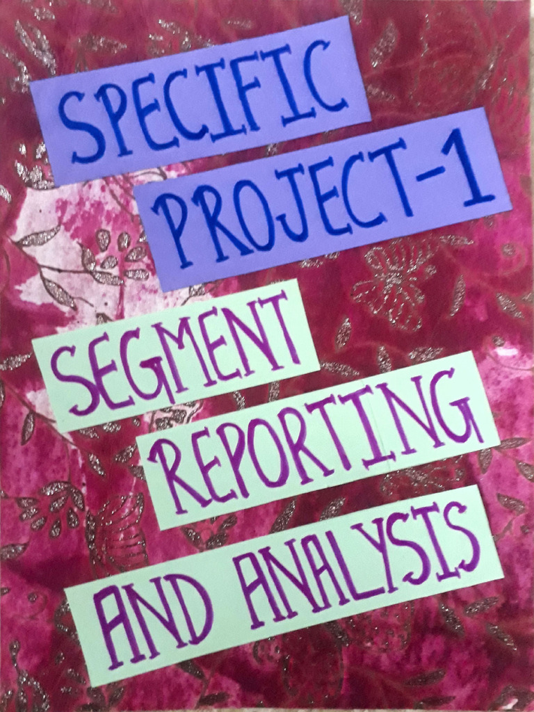 Accounts segment report project | PDF Accounts segment report project | PDF
