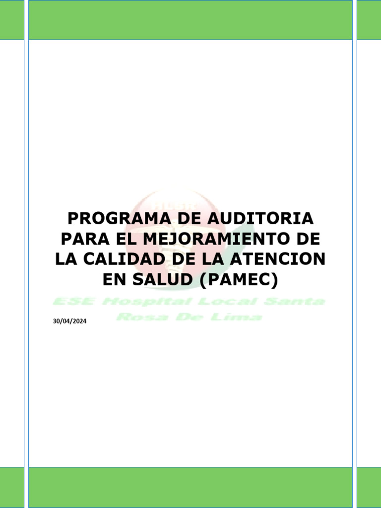 02 PROGRAM DE AUDITORIA 2024 Santa Rosa | PDF