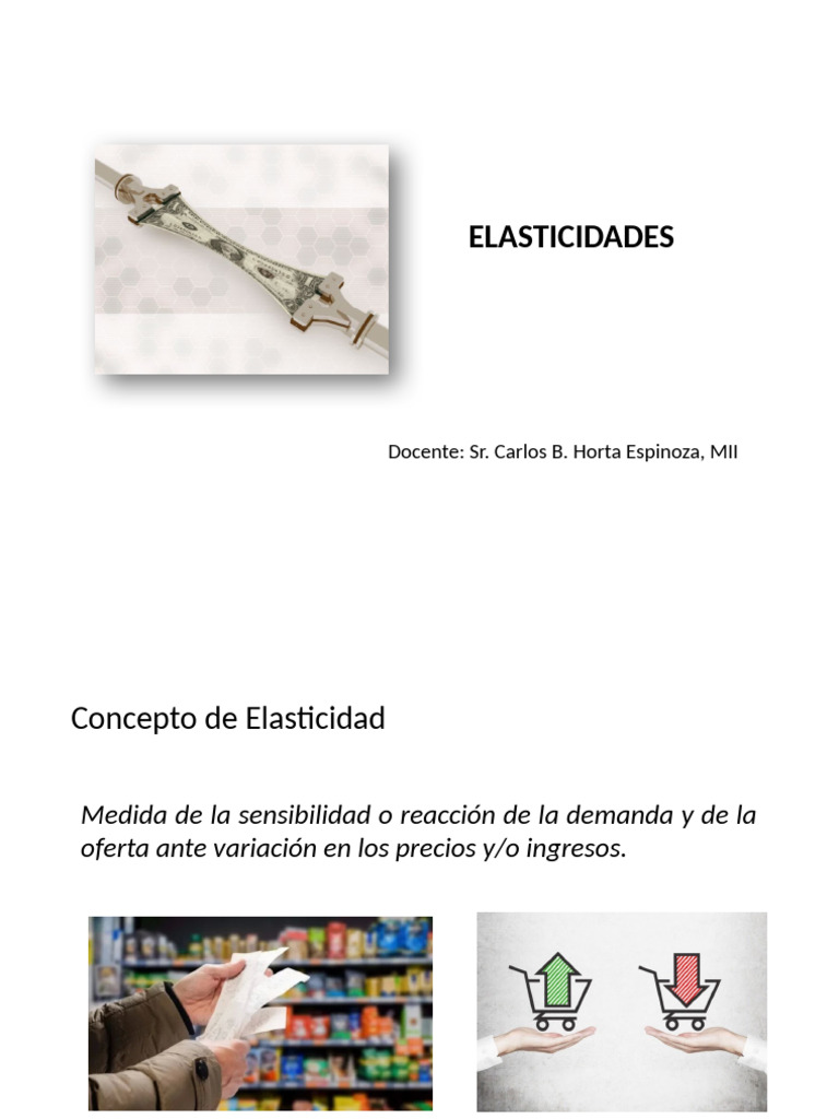 Ing Econ 4 - Elasticidad | PDF