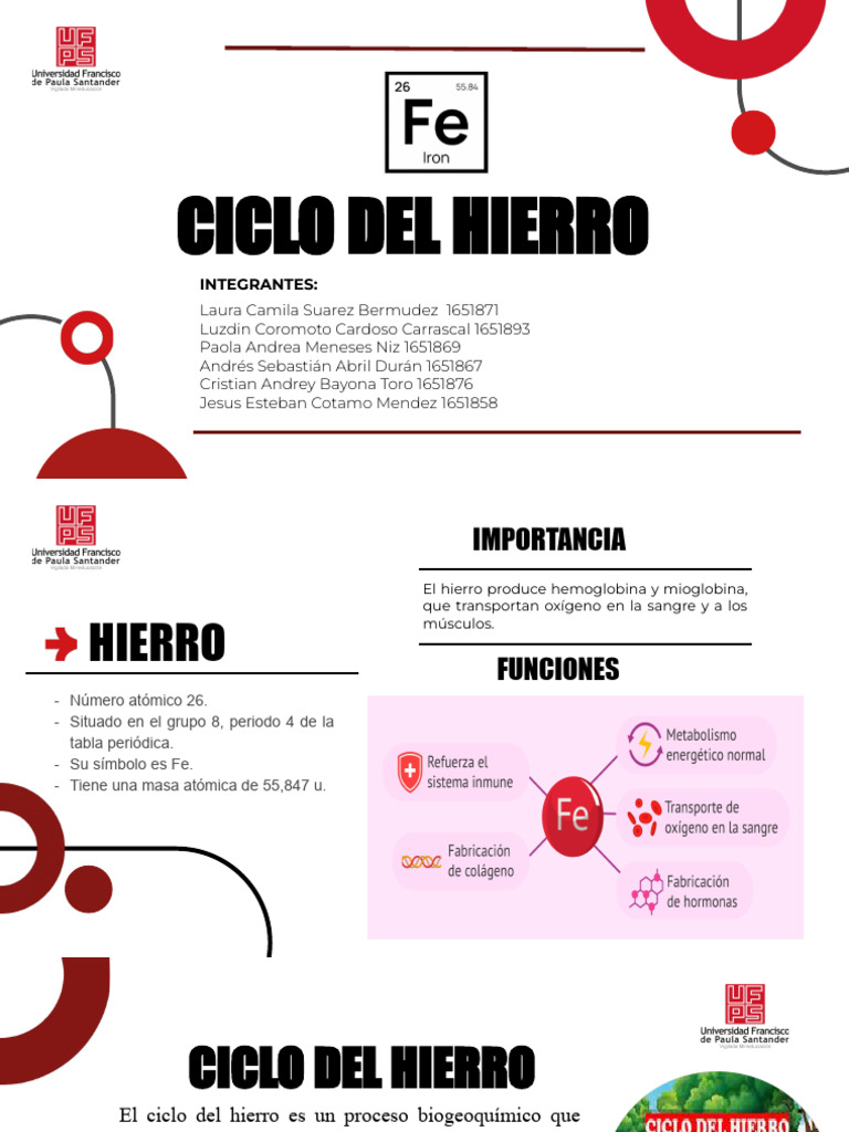 Ciclo Del Hierro | PDF