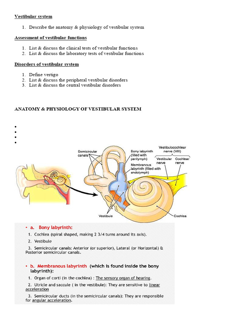Disorders of Vestibular System | PDF | Vertigo | Vestibular System