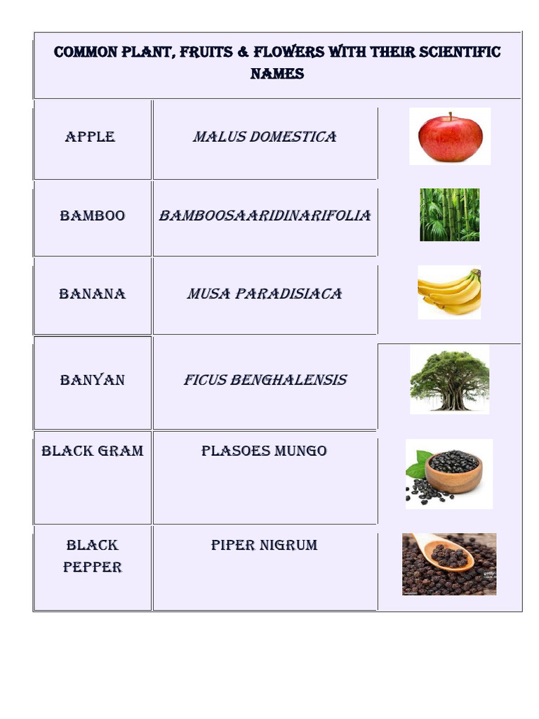 Botany Club Manual | PDF