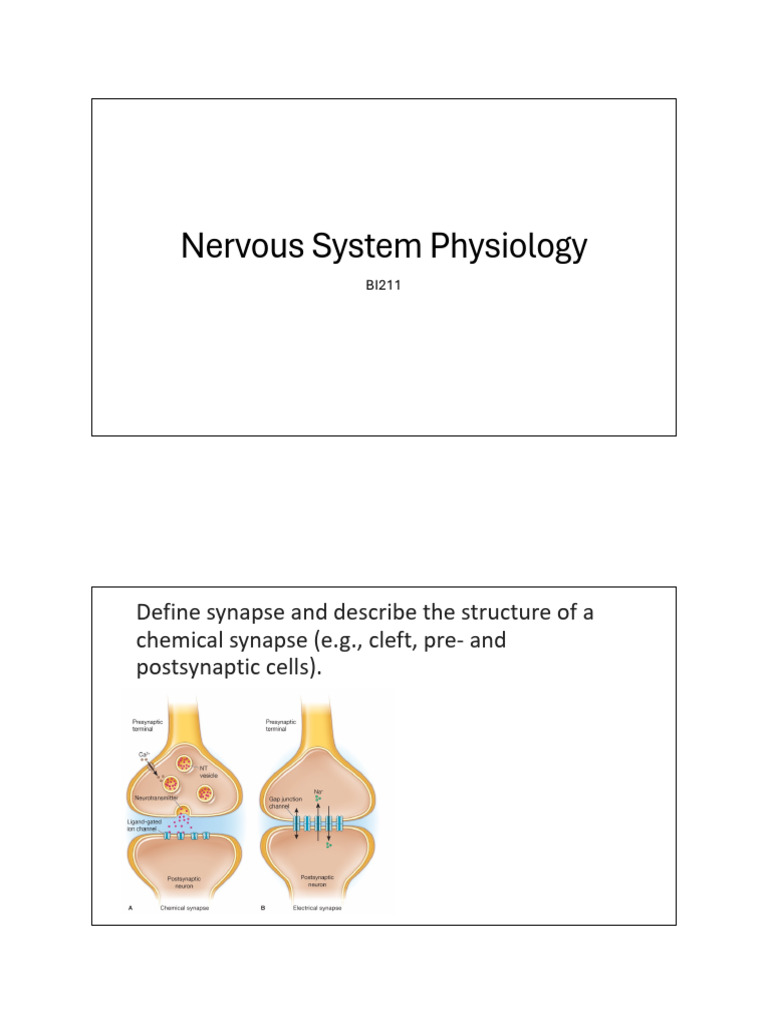 Exam 2 Lecture Slides | PDF