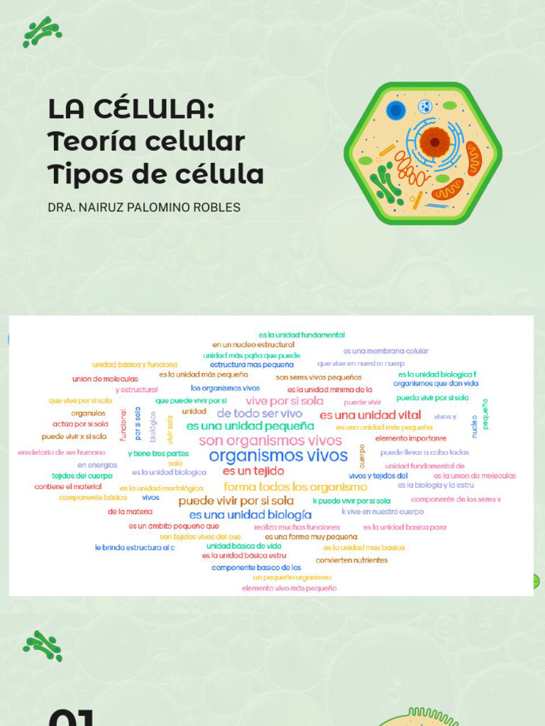 Diapositivas de La Clase N°9 | PDF