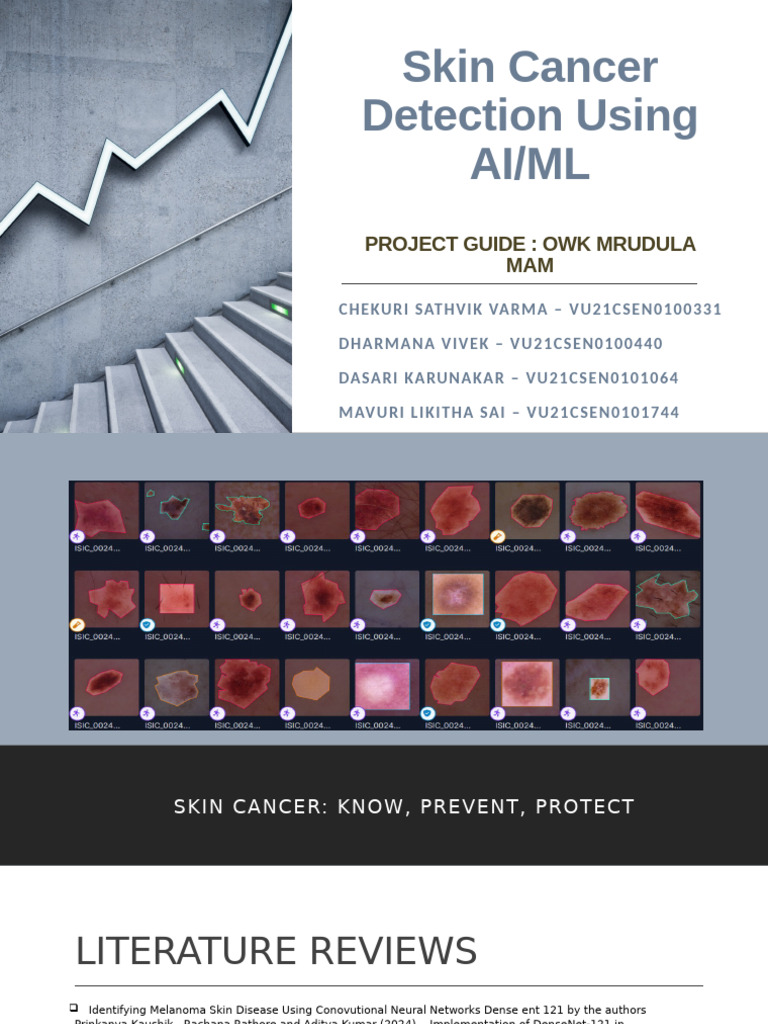 Skin | PDF