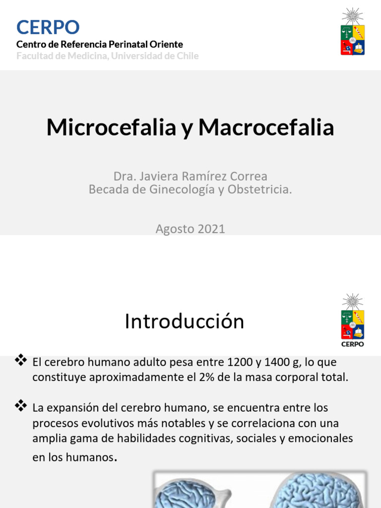 Micro y Macrocefalia Dra Javiera Ramirez - Archivo | PDF | Mitosis ...