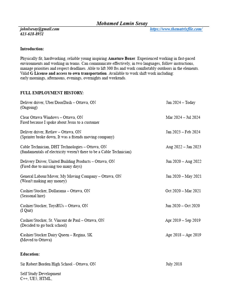 Mohamed's Resume | PDF