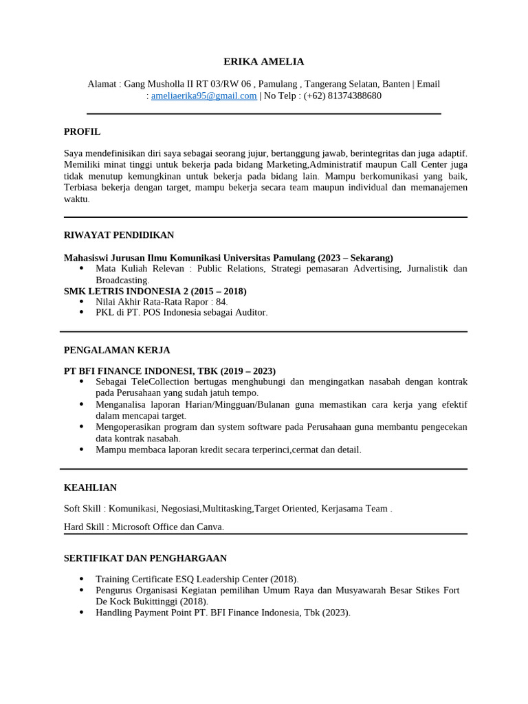 CV Erika Amelia | PDF