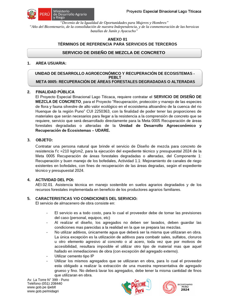 TDR Diseño de Mezcla 1.1 | PDF | Technology & Engineering