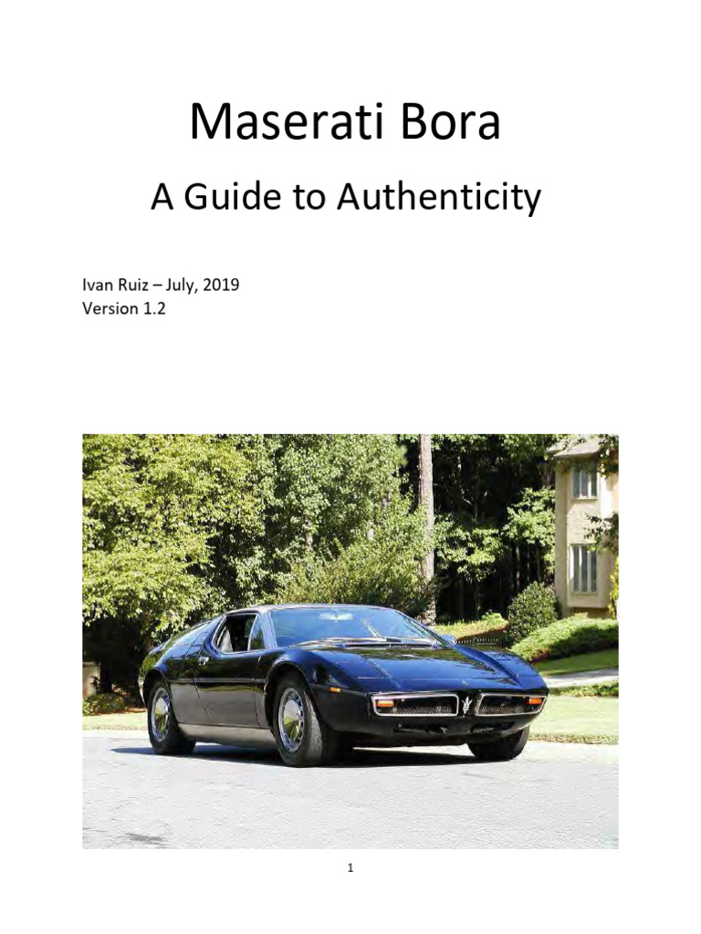 Bora - Guide - To - Authenticity V5 | PDF
