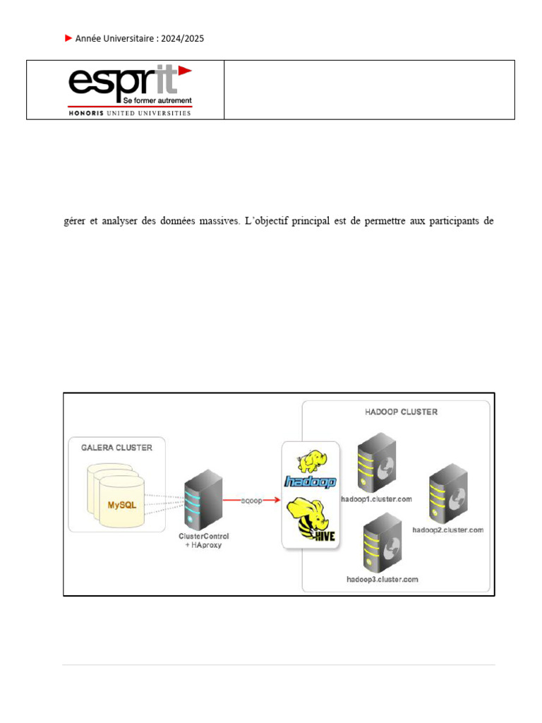 Workshop Advanced Big Data | PDF | Apache Hadoop | Art