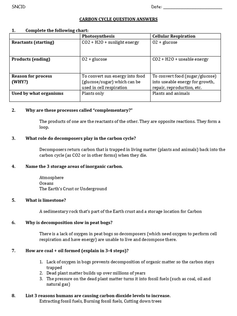 08 - Cycle Question Answers | PDF