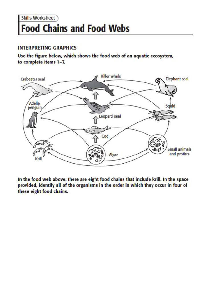 Food - Webs - Worksheet - Energy - Pyramid | PDF