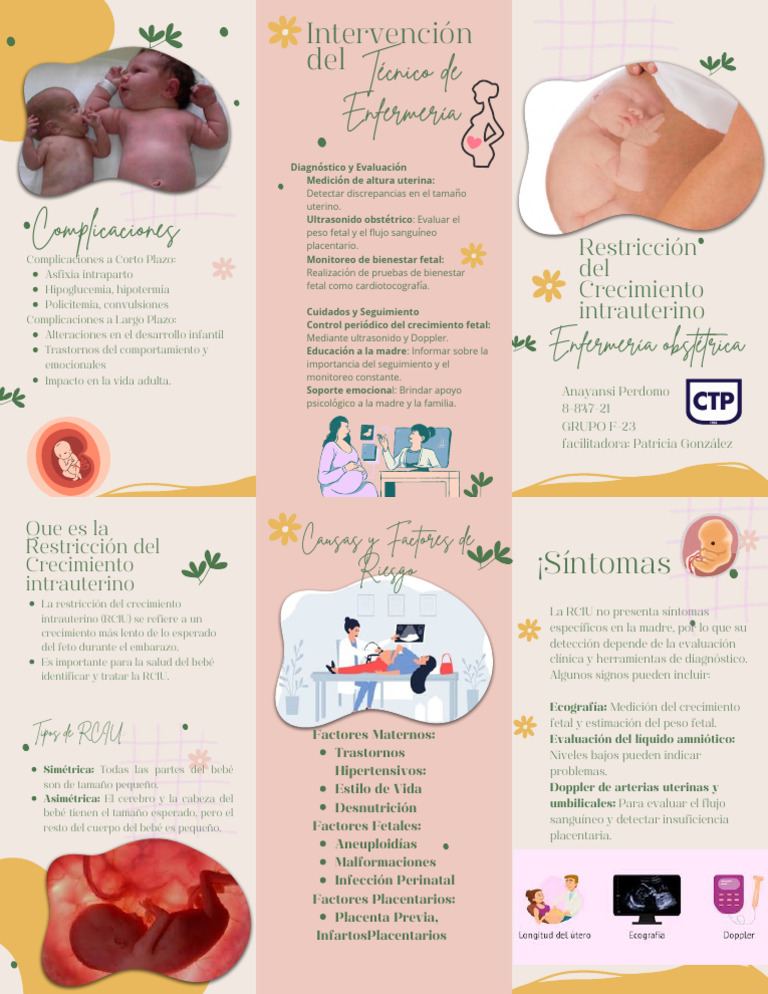 Folleto Tríptico RCIU | PDF