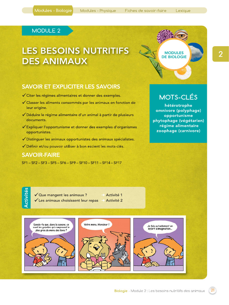 Module 02 - Les Besoins Nutritifs Des Animaux | PDF