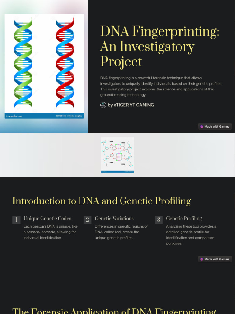 DNA Fingerprinting An Investigatory Project | PDF | Dna Profiling ...