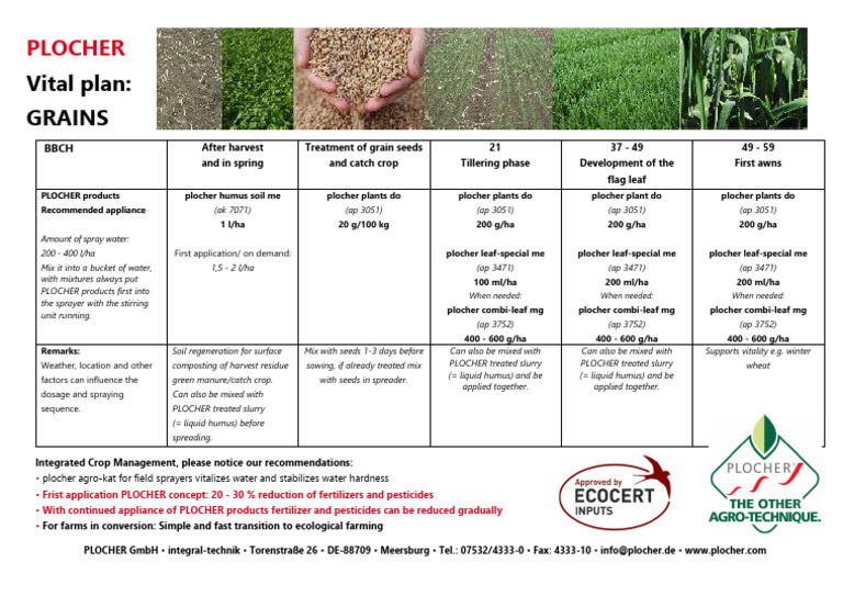 Plocher Vital Plan Grains | PDF