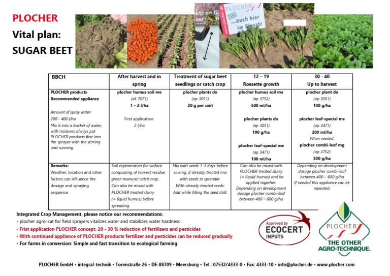 Plocher Vital Plan Sugar Beet | PDF