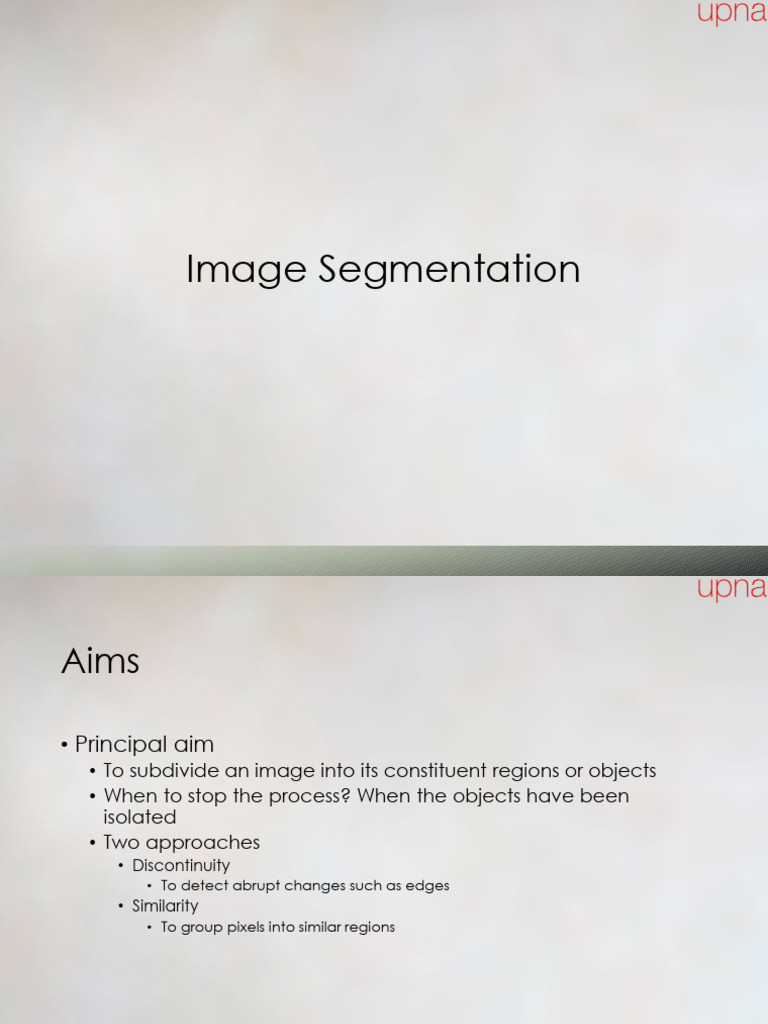 Segmentation Representation Description B | PDF
