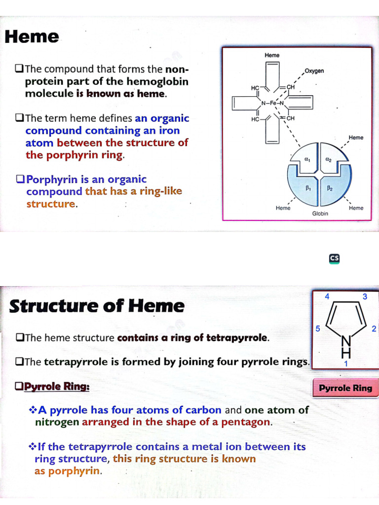 Heme Synthesis, Hemoglobin Types, Structure and Functions | PDF
