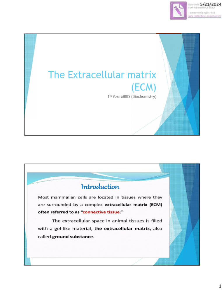 The Extracellular Matrix (ECM) : 1 Year MBBS (Biochemistry) | PDF