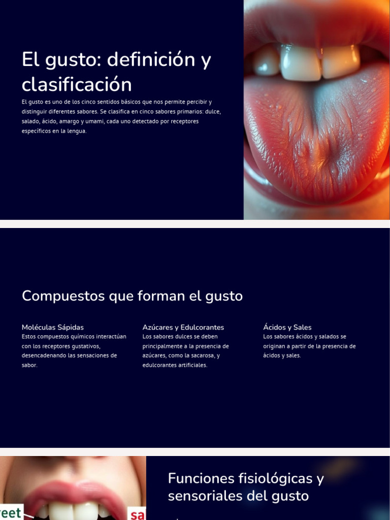 El-gusto-definicion-y-clasificacion.pdf | PDF