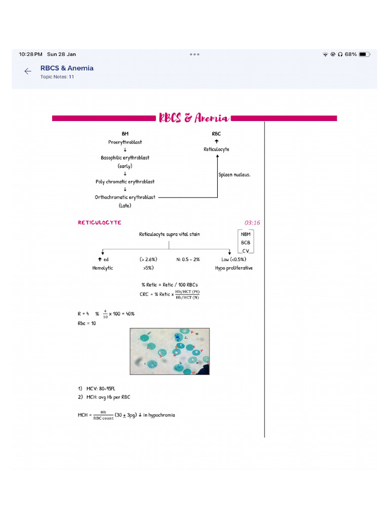 RBC, Anemia | PDF