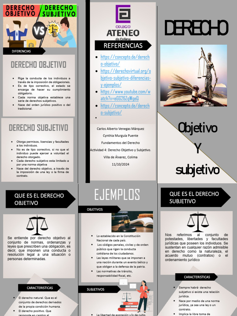 Triptico Derecho Objetivo y Subjetivo | PDF