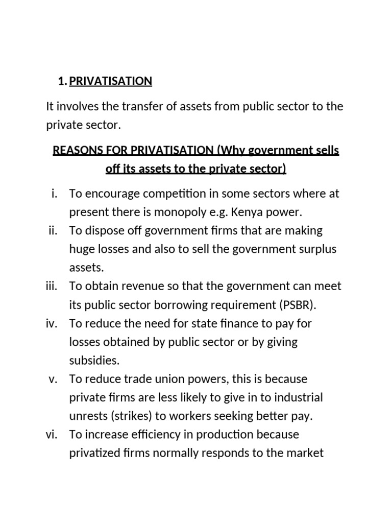 PRIVATISATION | PDF