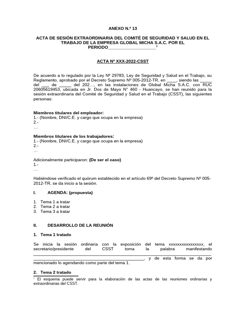Anexo 13 - Acta de Sesiones Extraordinarias Del CSST | PDF | Gobierno ...