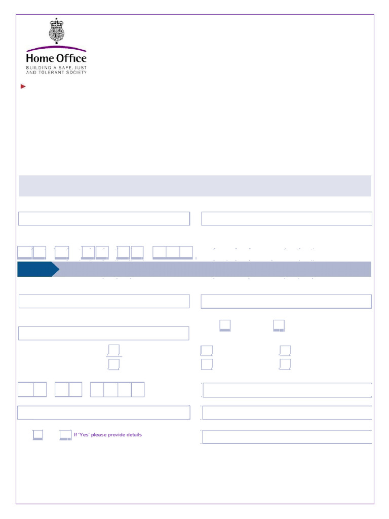 Uk Official Visa Form | PDF